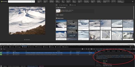 Python Bing Visual Search Api Endpoint Returns Different Results Than Visualsearch