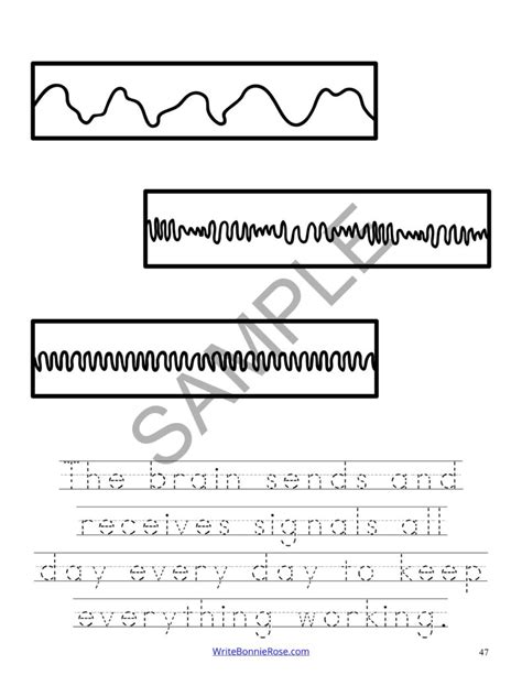 Questions And Answers Coloring Book About Science Body Systems Level B Made By Teachers