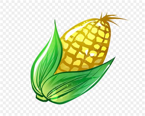 황금 옥수수 일러스트 달콤한 맛있는 황금 옥수수 삽화 단 Png 일러스트 및 Psd 이미지 무료 다운로드 Pngtree