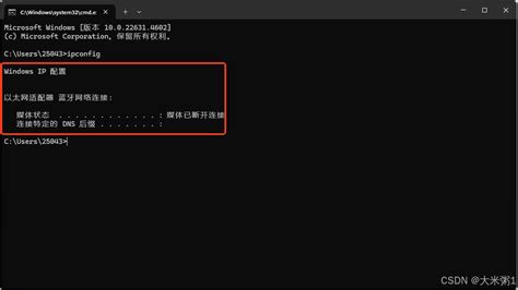 电脑可以连接wifi，但是连接后仍然显示没有网络电脑显示无网络连接但是能上网 Csdn博客