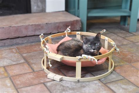 How To Make A Diy Cat Hammock For Your Furry Friend