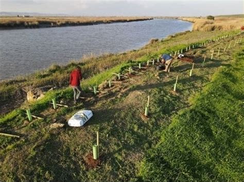 Second Way Ecological Intensification Of Agriculture I2connect