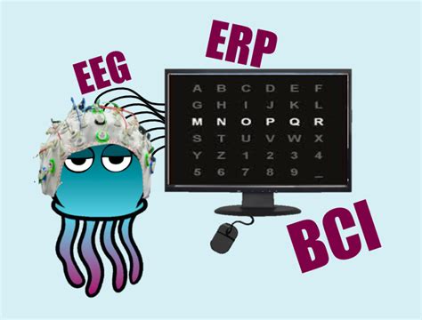 Event Related Potentials Application For Eeg Brain Computer Interface