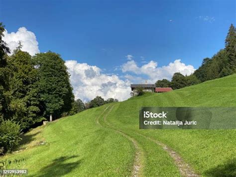 기스바흐 자연 공원의 알프스 초원과 목초지와 산 대산대경사면에 있는 베르너 알프스 브리엔츠 스위스 베른 주 0명에 대한 스톡