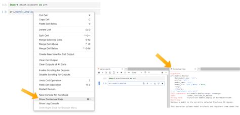 Introduction Docs Practicus Ai