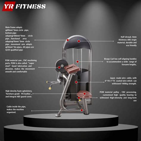 Biceps Curl Yr Fitness