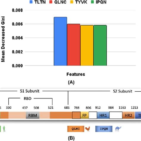 Feature Identification In Nucleocapsid Protein A Important Features Download Scientific