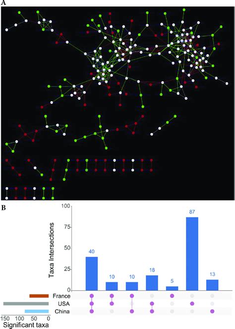 Co Occurrence Networks And Dynet Dataset Specific Markers A Dynet