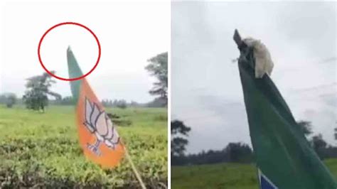 Condom Stuck బెంగాల్‌లో బీజేపీ జెండాపై కండోమ్‌ టీఎంసీ చర్యగా ఆ