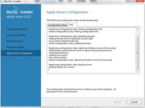【高分悬殊】安装mysql的时候一直卡在starting Server这里，求破 Csdn论坛