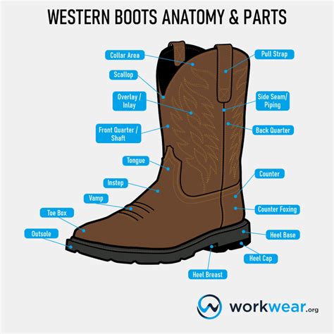 Boot 2025 Terminology Minta Tamarra