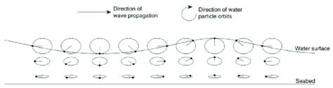 Particle Motion In Sea Wave Reproduced With Permission 5139240948876