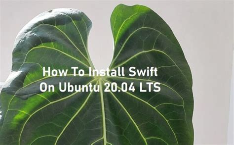 How To Install Swift On Ubuntu 2004 Lts