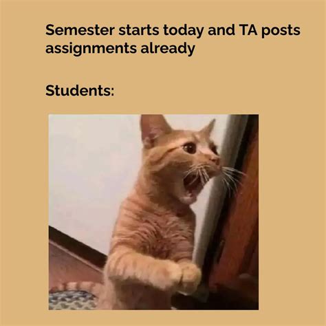 Lots Of Assignments When The Semester Just Started Rschoolmemes