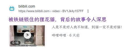 风控机制的猜想 风险埋点数据的鉴别 Issue 755 SocialSisterYi bilibili API collect
