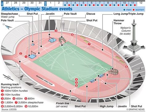 The Graphic News Olympics Infographics Olympics 2012 Summer