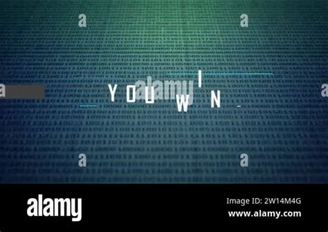 Animation Of The Words You Win Written In White Text In A Grey Banner