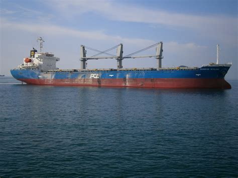 Bmc Endora Bulker Carrier And Details And Current Position Imo 9380427