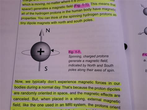The Mri Registry Review Program Fundamentals Of Mri Flashcards Quizlet
