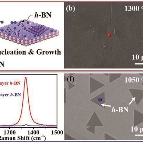 A Schematic Of The Growth Process Of Multilayer H Bn Grown On Fe2b Download Scientific