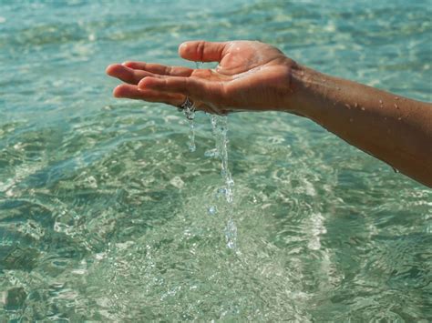 Sex Census Body Soul