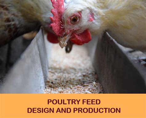 Making Your Own Poultry Feed
