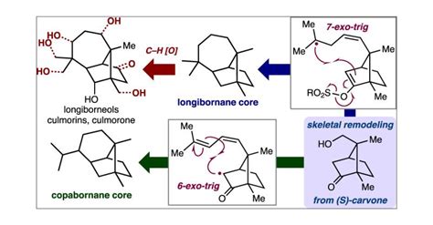 Erick Carreira On Linkedin Jacs Totalsyntheses Synthesis Chfunctionalization Sesquiterpenoid…