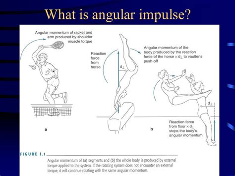 Angular Kinetics Review Ppt Video Online Download