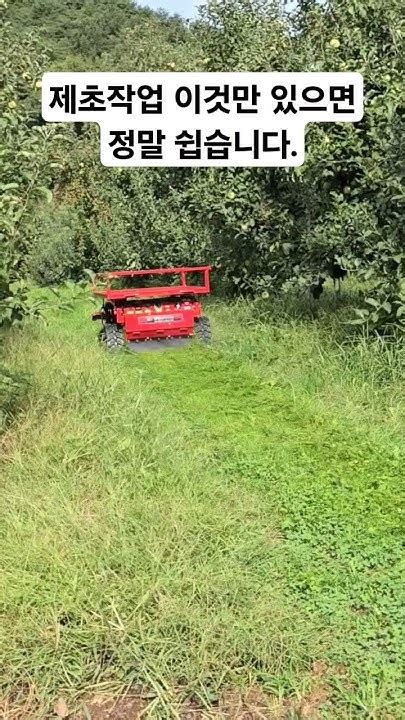 힘든 제초작업 무선제초기로 편하게 해보세요농기계전문채널엔테크농기계추천농기계제초기잔디깍기충전식예초기예초기날예초기추천긴풀예초기 Youtube