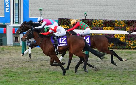 【朝日杯fs】ドルチェモアvで22年平地g1の1番人気連勝！！逆襲モードで25日有馬記念どうなる！？ スポニチ競馬web
