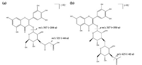 Mass Fragmentation Pattern For The Tentative Identification Of A Download Scientific Diagram