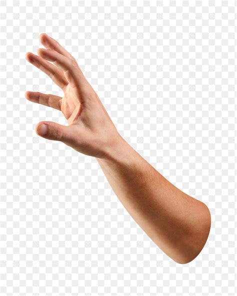 Grabbing Hand Images Free Photos Png Stickers Wallpapers