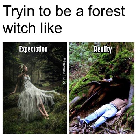 Post By Irreverenttarot Memes