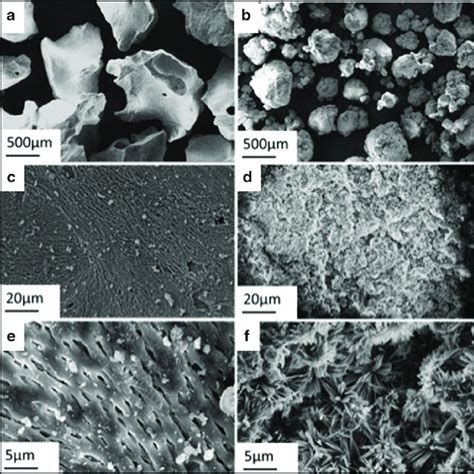 Hierarchical Organization Of Bone Porosities In Human Cortical Bone