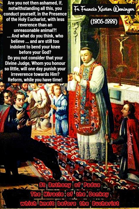 Thought For The Day 13 June St Anthony Of Padua And The Miracle Of