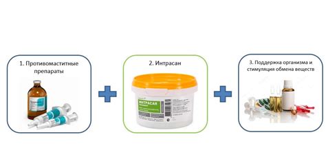 Наружный противомаститный препарат Интрасан — схемы лечения мастита ...