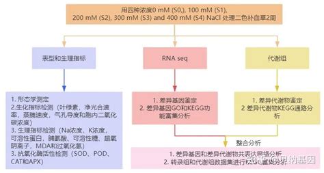 Pbj解读 转录组和代谢组分析揭示了二色补血草响应盐胁迫的关键途径（无需验证试验哟） 知乎