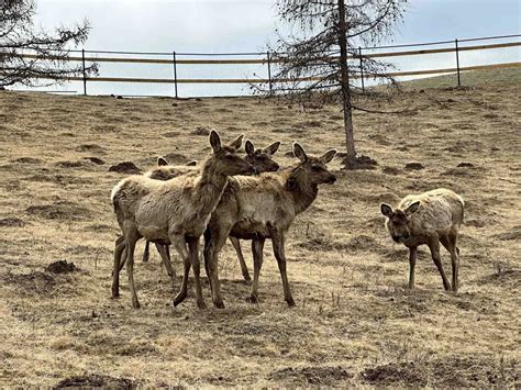 Б Бат Эрдэнэ Тэрэлж орчимд хашсан хашааг буулгаж аялал жуулчлалын бүс болгох ажлыг яаралтай