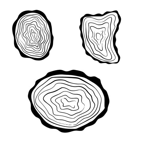 Wood Slice Svg Bundle Tree Rings Svg Wood Slice Dxf Wood Slice Png Wood Slice Vector Tree