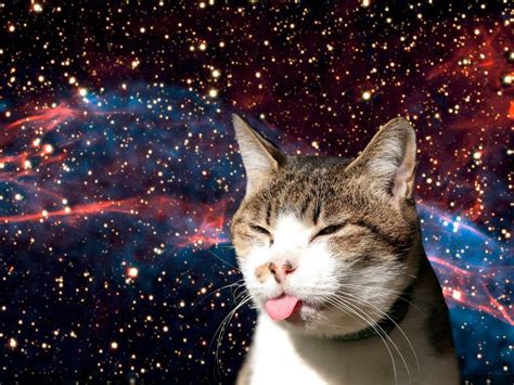 Space Memes