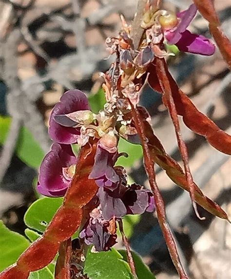 เกษตรตำบล ศูนย์รวมข้อมูลเกษตร พันธุ์ไม้ เมล็ดพันธุ์ ปุ๋ย เกษตรธรรมชาติ อัพเดดข่าวสารด้านการเกษตร