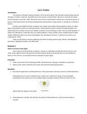 Exploring Protists Characteristics Classification And Course Hero