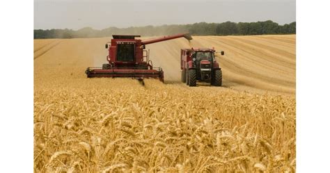 Зърнопроизводителите готови за протест заради липсата на пари в бюджет 2025 г за напояване и