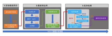 第4节 构建wgs主流程 · 从零开始完整学习全基因组测序数据分析