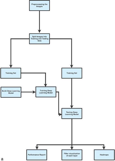 a illustration of our proposed cnn architecture b illustration of our download scientific