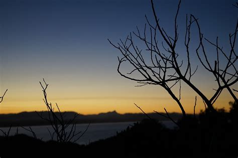 The General Program Disconnection Reconnection