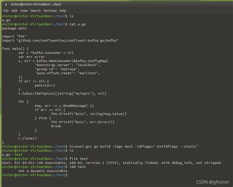 Go语言的静态链接与动态链接go 静态链接 Csdn博客