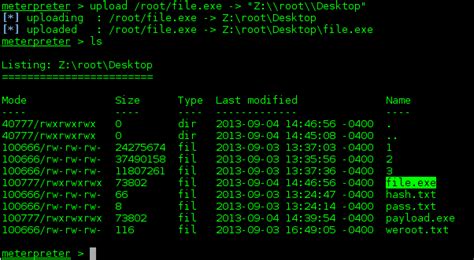 Basic Command Meterpreter
