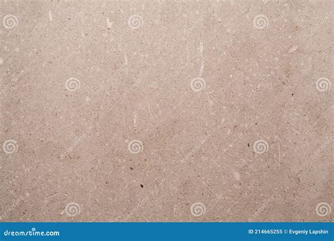 Fossilized Shell In Rock Sedimentary Rock Shell Rock Stock Image Image Of Bone Horizontal