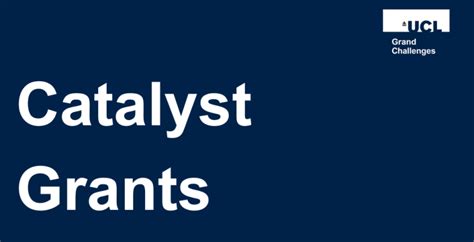 Successful Ecr Catalyst Grant Projects Awarded Mental Health